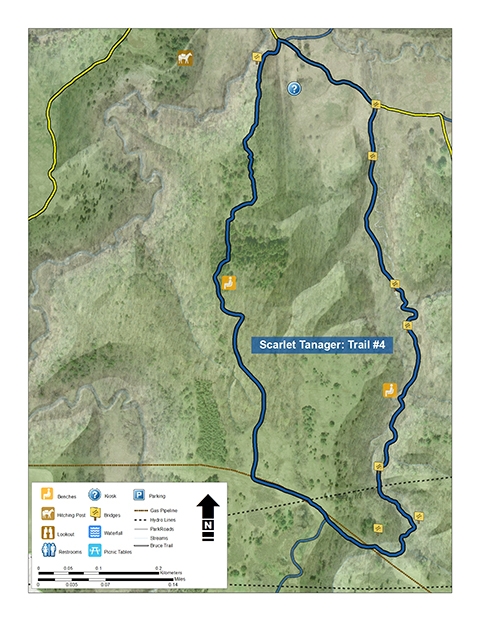 Trails and Maps – Friends of Short Hills Park