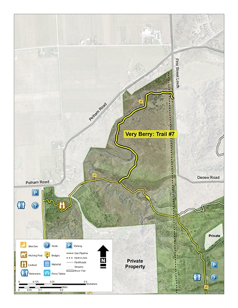 Trails and Maps – Friends of Short Hills Park